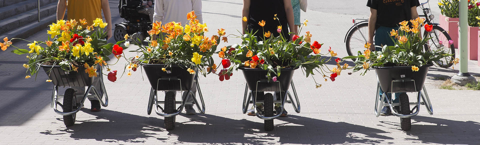 Haninge kommun - Haninge Kommun